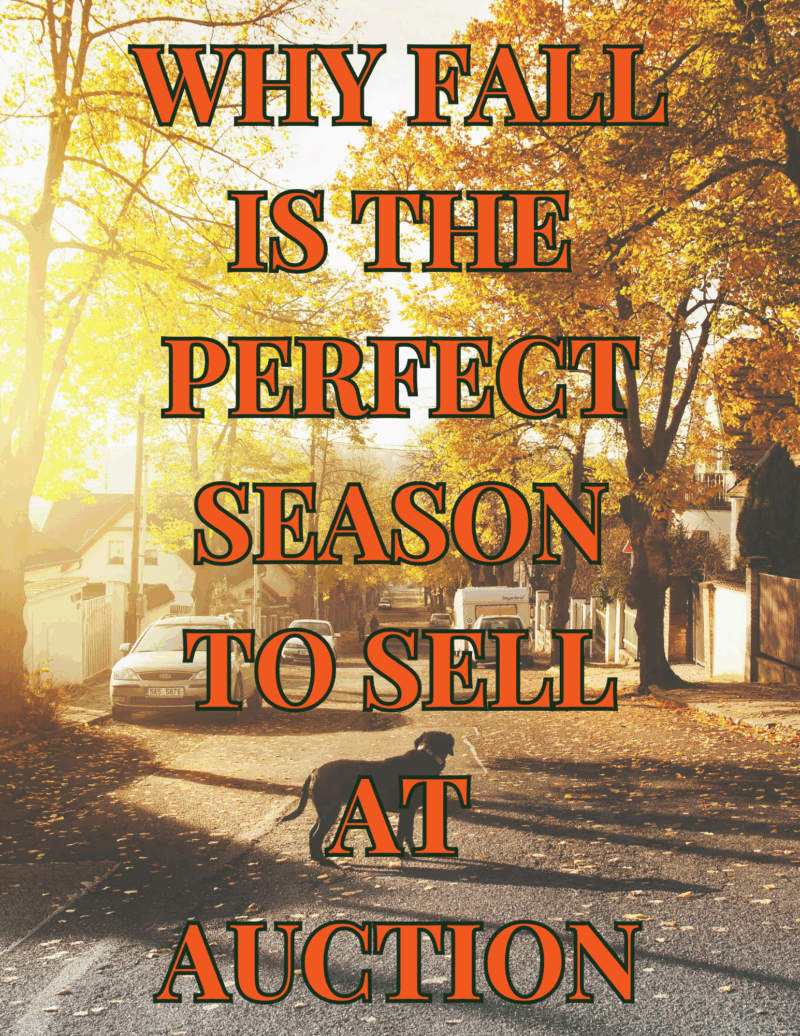 Why Fall is the Perfect Season to Sell at Auction - Knoxville TN Homes ...
